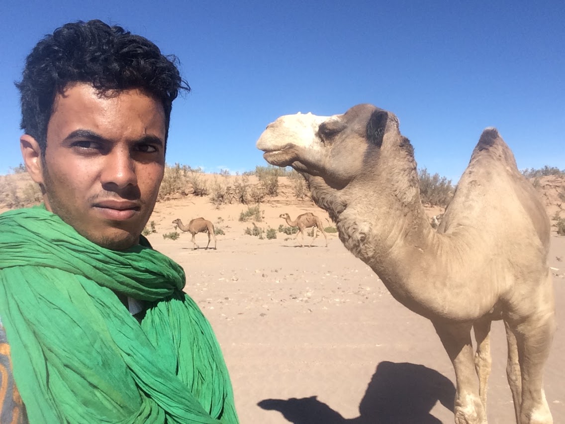 Stories of an Alpha Male Camel with morality - Walking With Nomads