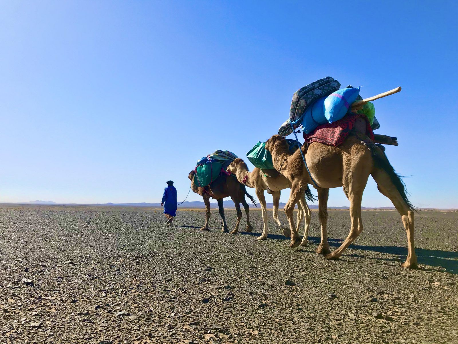 The ECO Activities - Walking With Nomads, tourism with a gentle footprint